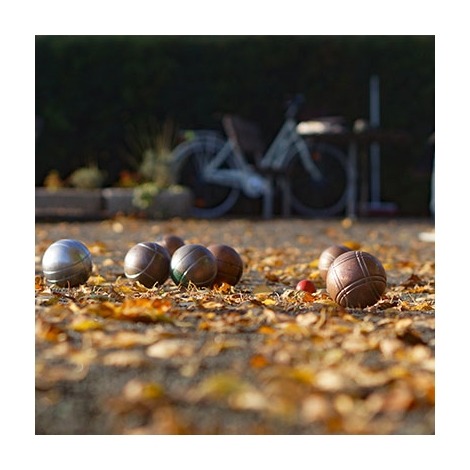 Pétanque Challenge Michel Gimenez St Orens (P0502) - CMCAS TOULOUSE
