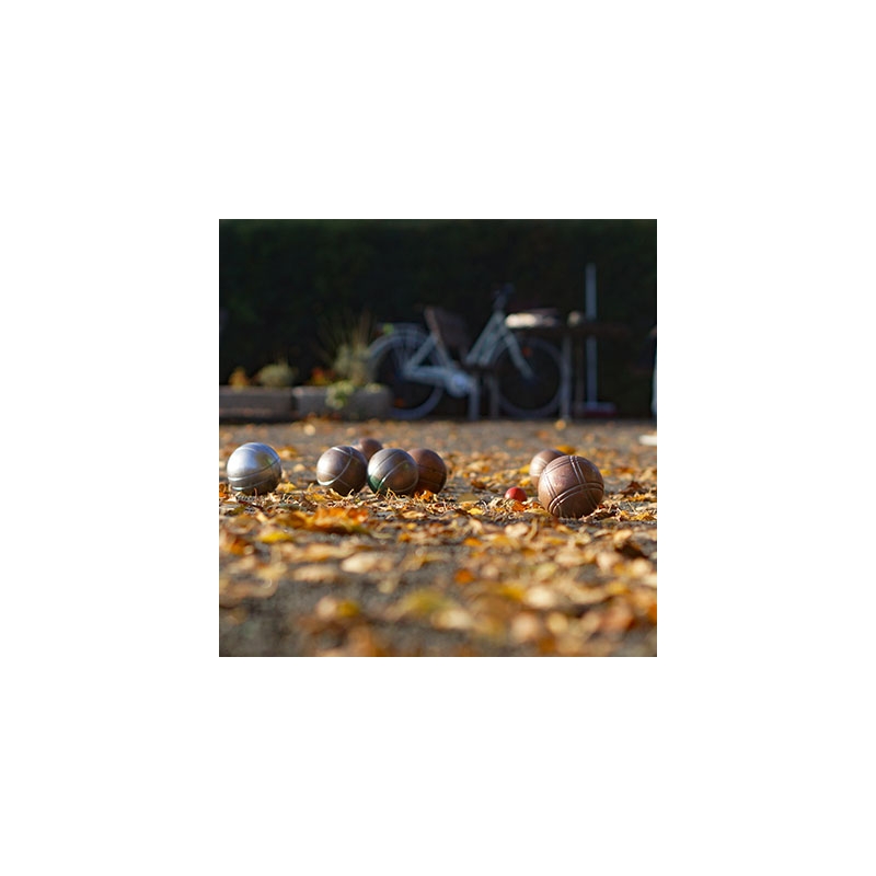 Pétanque Challenge Michel Gimenez St Orens (P0502) - CMCAS TOULOUSE